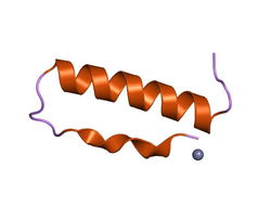 Protein: Categories and Functions