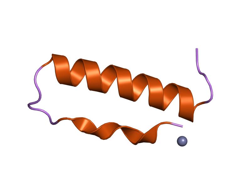 Protein: Categories and Functions
